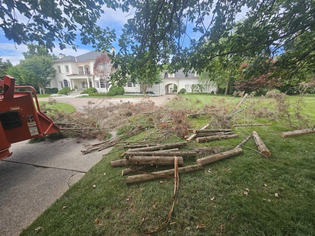 Forest Hills Tree Mulching Services | Arbor Best Treecare | Arbor Best ...